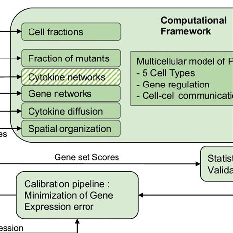 diagram of the data driven computational framework to instantiate