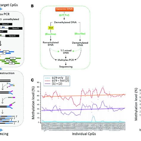 Targeted Bisulfite Pcr Sequencing Statistics And Correlation