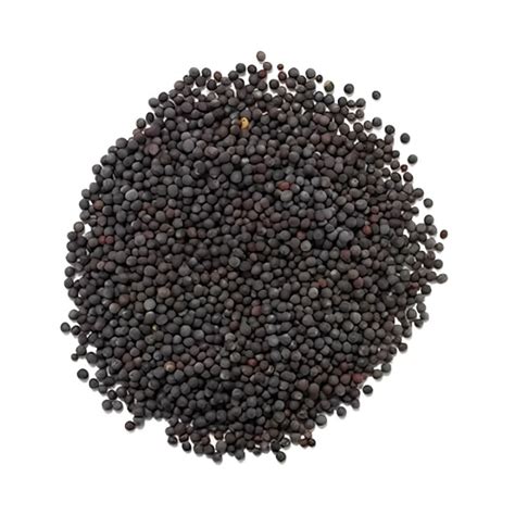 Buy Kali Sarso Dana Black Mustard Seeds Rai Online For Pooja And Cooking