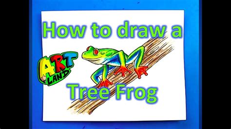 How To Draw A Tree Frog