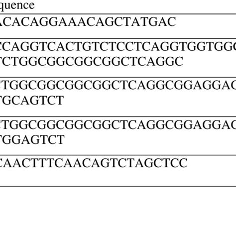 Primers Used For Generation Of Dimeric Molecules 482 Download Scientific Diagram