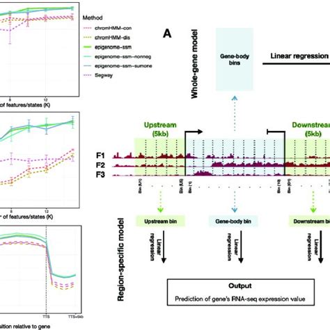 Overview Of Continuous Chromatin State Feature Annotation And