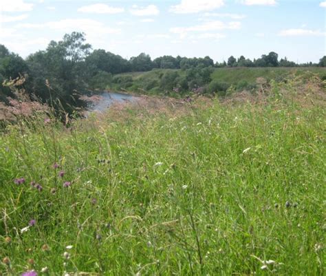 Купить земелю под усадьбу 2 Га у леса и реки в Новгородской области за 168 000 руб