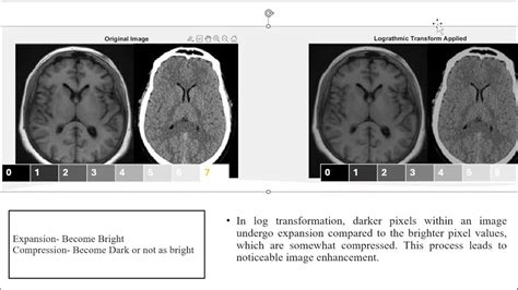 Logarithmic Transformation Youtube