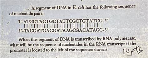 Solved A Segment Of DNA In E Coli Has The Following Chegg