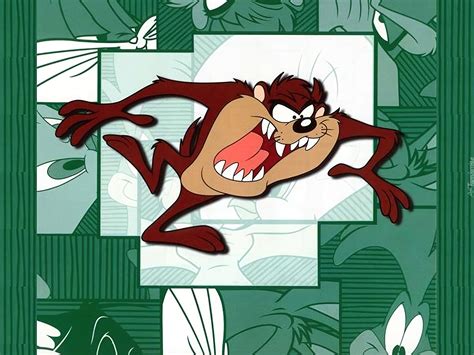 Diabeł Tasmański Tasmanian Devil