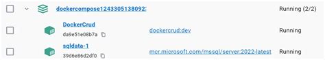 CRUD Operations In ASP NET Core And SQL Server With Docker