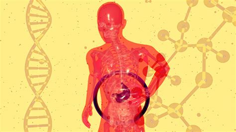 Metabolic Liver Disease Klarity Health Library