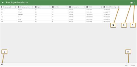 CSV Dataset JIFFY Ai