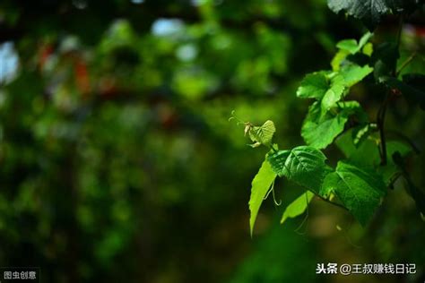 賺錢的項目那麼多，你為什麼賺不到錢？ 每日頭條