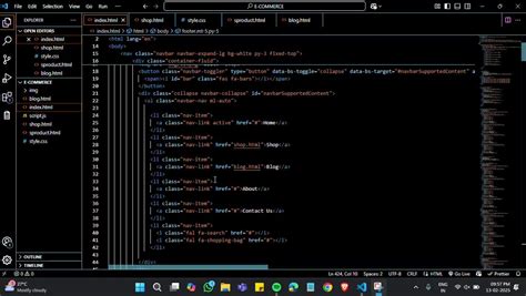 Internship Webdevelopment Ecommerce Frontend Html Css Javascript
