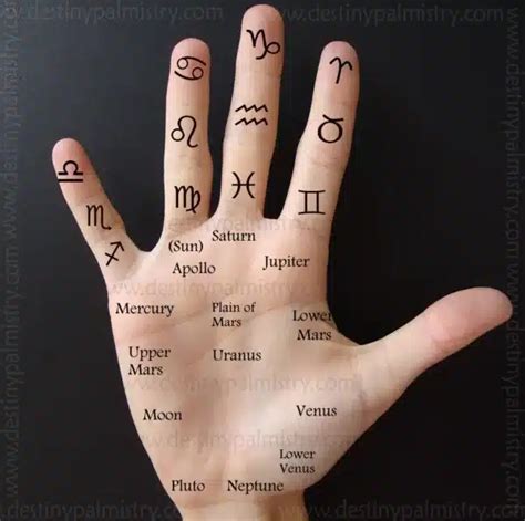 Can You Tell Someones Star Sign Using Palmistry Destiny Palmistry