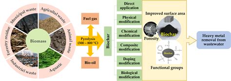 Methods Of Production And Modification Of Biochar From Various Biomass
