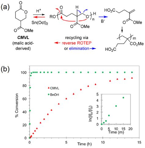 Molecules Free Full Text A Perspective On Reversibility In