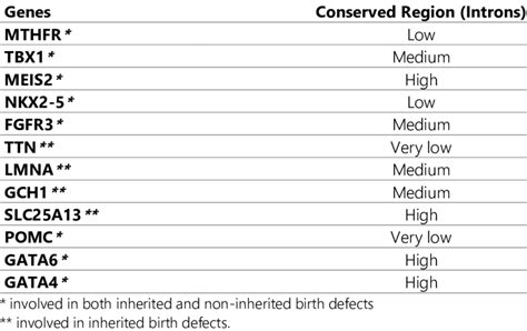 Conserved Regions Found In Genes Download Scientific Diagram