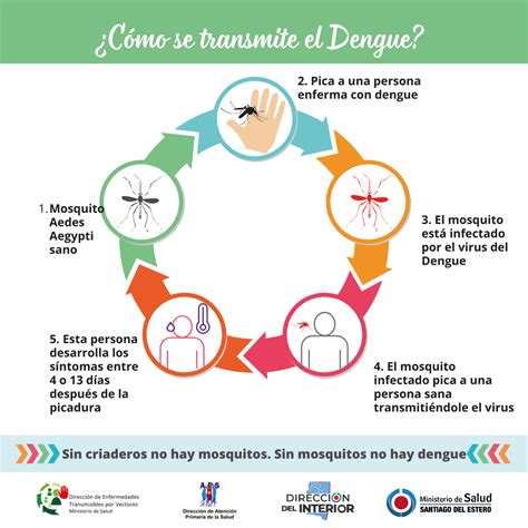 Dengue Zika Y Chikungunya Ministerio De Salud De Santiago Del Estero