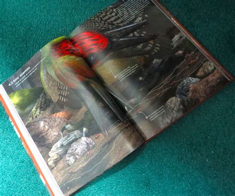 Book Review The Ant Collective Inside The World Of An Ant Colony Princeton University Press