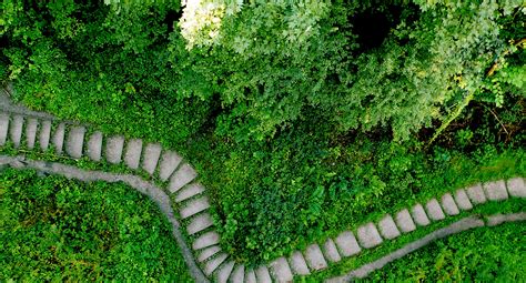 The Benefits Of Customized Learning Pathways For Corporate Training