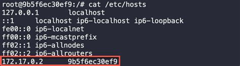 How To Get Docker Container Ip Address From The Host