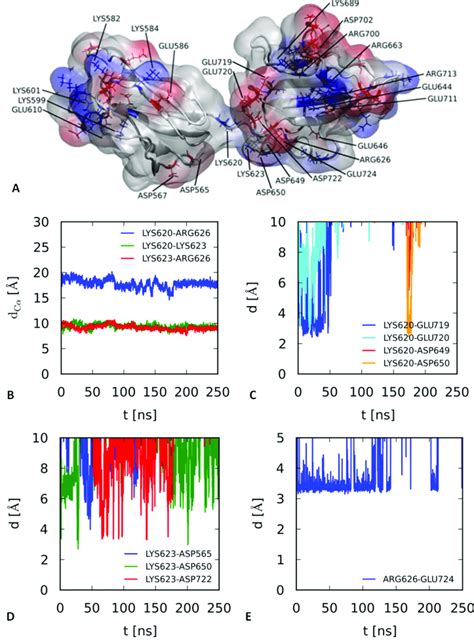 Electrostatic Interactions At The Fn1 Fn2 Interface A Charged
