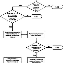 Oxford Nanopore Technologies Sequencing Analysis Pipeline