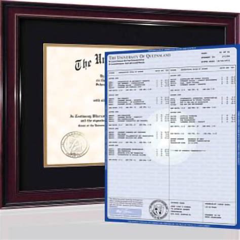 Novelty Fake Associates Degree Plus Full Set Of Transcripts Standard