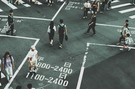 how machine learning algorithms are predicting pedestrian accident