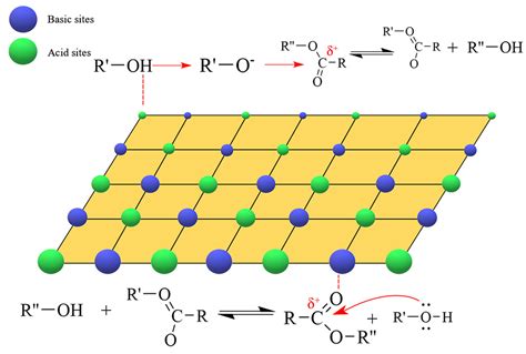 Lewis Acid Base Site Assisted In Situ Transesterification Catalysis To Produce Biodiesel
