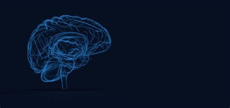 How Does Aging Affect Your Ability To Regulate Body Temperature