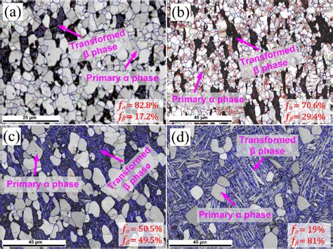 Microstructure Evolution Of Specimen Gauge Region At Strain Rate Of Download Scientific Diagram
