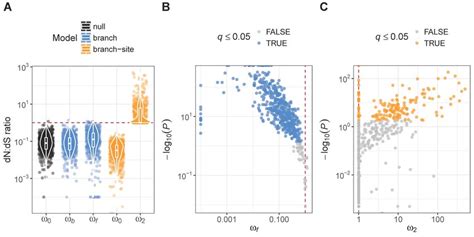Ratios Of Non Synonymous Vs Synonymous Nucleotide Substitution Rates