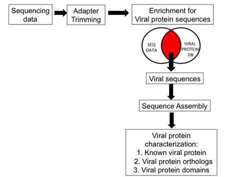 GitHub NCBI Hackathons Virus Domains A NYGC Hackathon Project To Map NGS Data To Viral