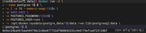 Docker安装postgres16数据库 技术栈