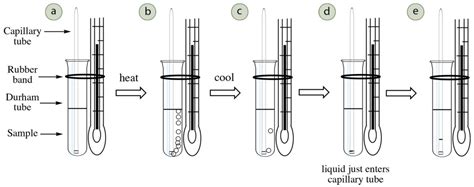 6 1b Step By Step Procedures For Boiling Point Determination Chemistry Libretexts