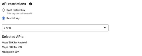 Google Navigation SDK Standalone