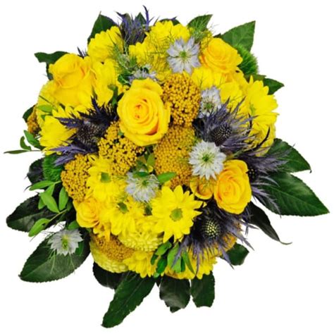 Buy Send Lia Online Igp Id