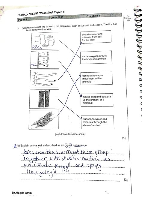 Solution Cell Structure Questions And Answers Studypool