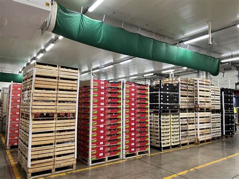 Giulia Pasini Posted On Linkedin