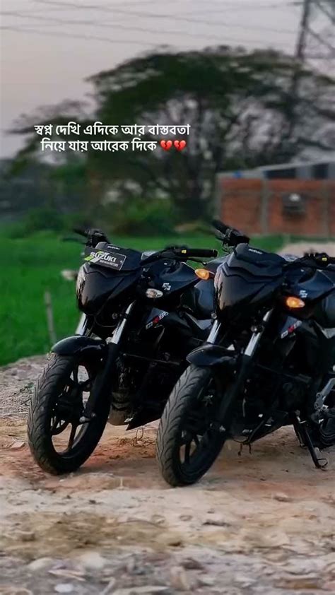 Tan Vi R Tanvirhasan3382 • Instagram Photos And Videos