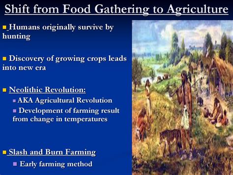 What Were Advances From The Old Stone Age And New Stone Age Ppt Download