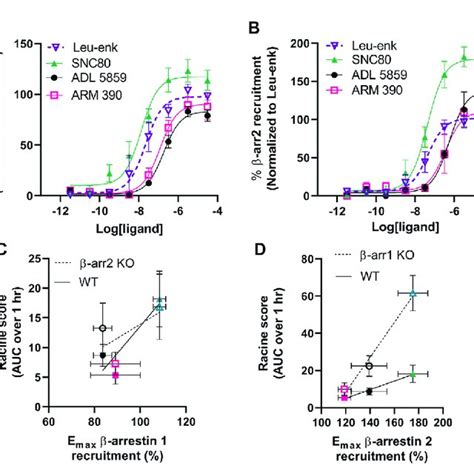 β arrestin 1 knockout mice display enhanced seizure activity for δor