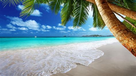 🔥 [50 ] Free Live Beach Wallpapers Wallpapersafari