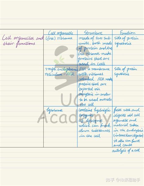 Ib生物笔记：原核细胞与真核细胞 知乎