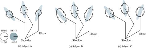 Hfpe And Hfme For The Three Subjects Subjects A B And C Download