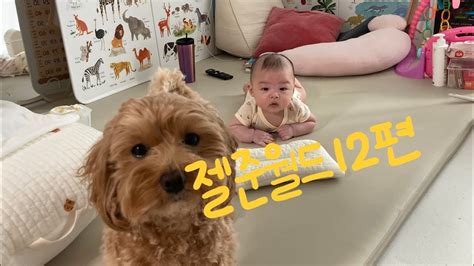 202302 육아 브이로그 3개월 아기 사경 셀프재활 성공 강아지 슬개골 보호대 두들앤코 모윰 치발기 뒤집기 시작 Youtube