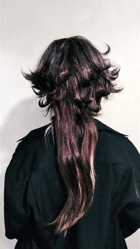 Visual Kei Hairstyle Men Wolf Cut Hair Twin Tail Hair Hair