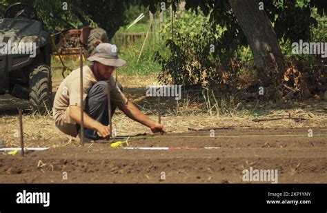 Test Plot Stock Videos And Footage Hd And 4k Video Clips Alamy