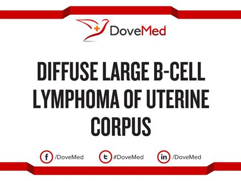 Diffuse Large B Cell Lymphoma Of Uterine Corpus