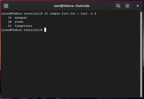 6 Möglichkeiten Den Inhalt Von Linux Dateien Anzuzeigen