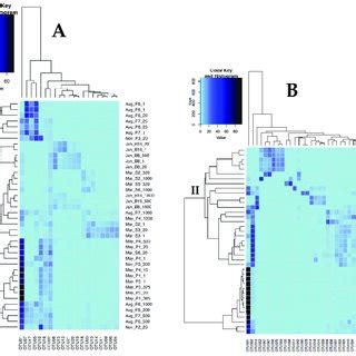 Two Way Hierarchical Clustering Heat Maps Showing Clustering Of Samples